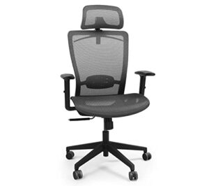 flexispot oc3b ergonomic executive mesh office chair swivel height adjustable seat headrest armrest lumbar support caster wheels task chair gray mesh seat computer office desk chair