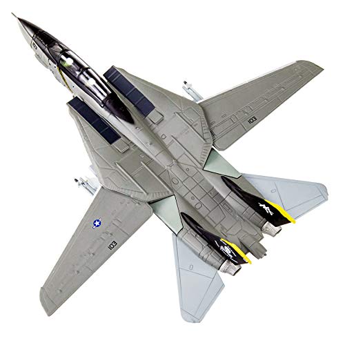 HANGHANG 1/100 F14 Tomcat Model Skeleton Fighter Attack Plane Diecast Military Models Metal Airplane Models for Collection or Gift, White