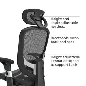 STAPLES Hyken Technical Task (Black, Sold as 1 Each) -Adjustable Breathable Mesh Material Provides Lumbar, arm and Head Support, Perfect Desk Chair for The Modern Office