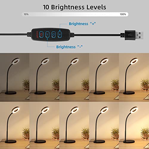 KAWOTI LED Desk Lamp USB Desk Light with 3 Lighting Modes Dimmable 10 Brightness Levels and Rotatable Phone Holder 360 ° Flexible Gooseneck for Bed Reading Work Study