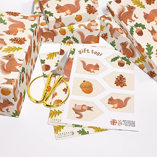 CENTRAL 23 Fall Wrapping Paper - Squirrels - Acorns - Wrapping Paper Baby Shower - 6 Sheets Eco Gift Wrap - Comes With Fun Stickers - Recyclable