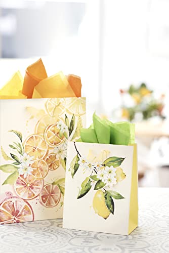 Papyrus 9" Medium Gift Bag (Citrus) for Birthdays, Weddings, Bridal Showers, Baby Showers and All Occasions (1 Bag)