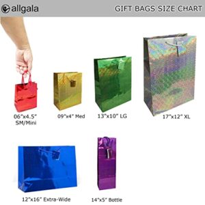 Allgala 12-PC 9 x7 Inch Medium Premium Hologram Gift Bags-GP50301