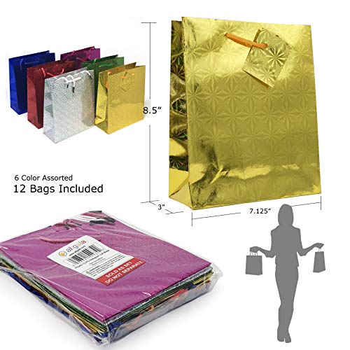 Allgala 12-PC 9 x7 Inch Medium Premium Hologram Gift Bags-GP50301