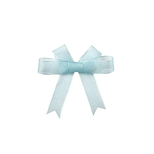 JingleStar Decorative Accessories 1 Inch Sheer Chiffon Ribbon Perfect for Crafts Hair Bows Gift Wrapping Wedding Party Decoration and More (Tiffany Blue)