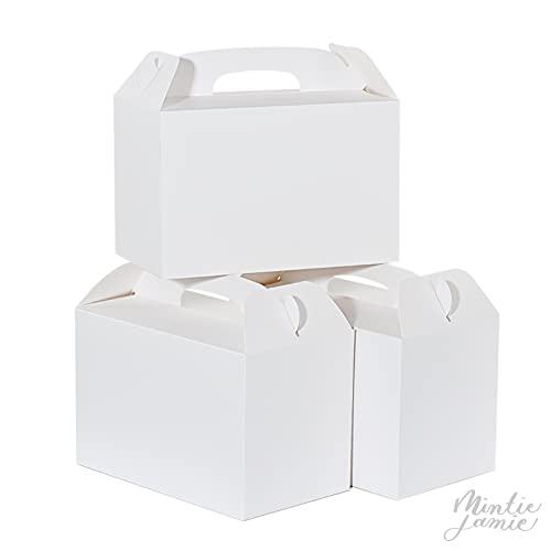 MintieJamie White Treat Boxes 2 Dozen White Boxes for Favor 8.5X5X5.5 Inches Large Handle Favor Boxes, Kids Party Favor Box, Party Box, Birthday Goodies Box, No Assembly Needed