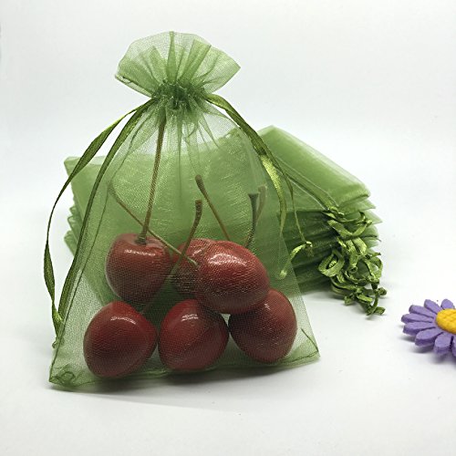 ANSLEY SHOP 100pcs 4x6 Inches Drawstrings Organza Gift Candy Bags Wedding Favors Bags (Grass Green)