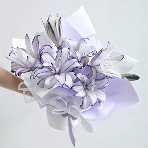 BBJ WRAPS Korean Flower Wrapping Paper Clear Waterproof Floral Bouquet Wrap with Colored Line, 22.8x22.8 Inch - 20 Sheets (Purple)