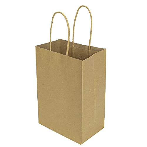 bagmad 100 Pack 5.25x3.25x8 inch Brown Small Paper Bags with Handles Bulk, Gift Paper Bags, Kraft Birthday Party Favors Grocery Retail Shopping Craft Bags Takeouts Business (Plain Natural 100pcs)