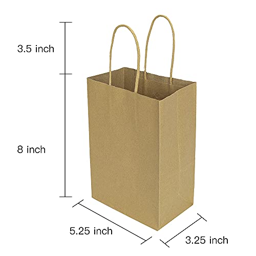 bagmad 100 Pack 5.25x3.25x8 inch Brown Small Paper Bags with Handles Bulk, Gift Paper Bags, Kraft Birthday Party Favors Grocery Retail Shopping Craft Bags Takeouts Business (Plain Natural 100pcs)