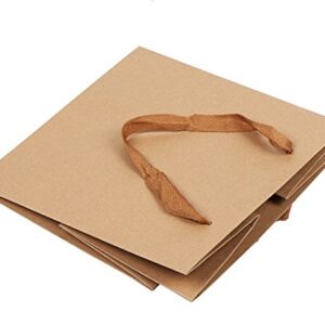 DraDraLee Brown Kraft Paper Gift Shopping Handle Bags for Package 13x13x13inch