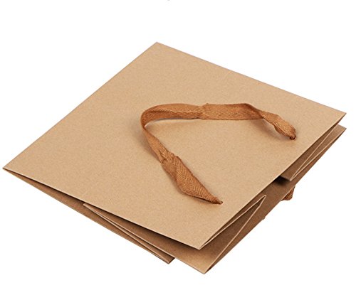 DraDraLee Brown Kraft Paper Gift Shopping Handle Bags for Package 13x13x13inch