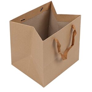 DraDraLee Brown Kraft Paper Gift Shopping Handle Bags for Package 13x13x13inch