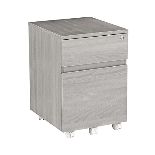 Techni Mobili Rolling Lock and Storage 2 Drawer Vertical Filing Cabinet, 15.75" L x 17.75" W x 23" H, Gray