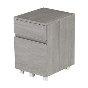 Techni Mobili Rolling Lock and Storage 2 Drawer Vertical Filing Cabinet, 15.75" L x 17.75" W x 23" H, Gray