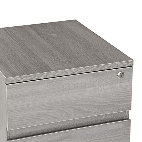 Techni Mobili Rolling Lock and Storage 2 Drawer Vertical Filing Cabinet, 15.75" L x 17.75" W x 23" H, Gray