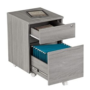 Techni Mobili Rolling Lock and Storage 2 Drawer Vertical Filing Cabinet, 15.75" L x 17.75" W x 23" H, Gray