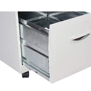 Scranton & Co 2 Drawer Steel Mobile File Cabinet in Pure White