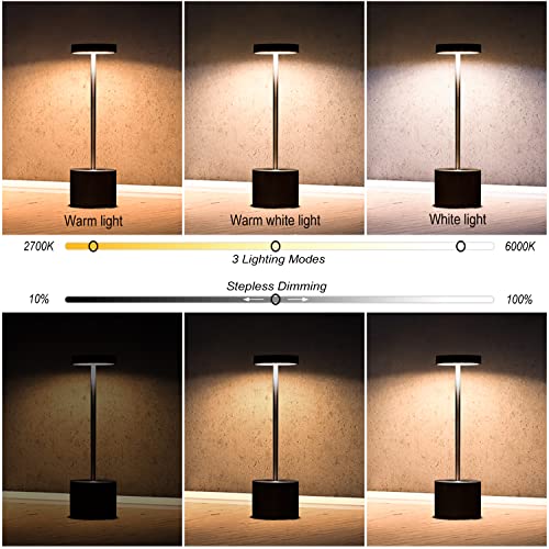 Barryca 12 Inch Cordless Table Lamp Rechargeable, Battery Operated Metal USB Desk Lamp, Portable Led Outdoor Light, Stepless Dimmable, for Outside/Indoor/Restaurant/Home/Dinner/Patio