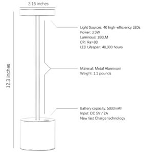 Barryca 12 Inch Cordless Table Lamp Rechargeable, Battery Operated Metal USB Desk Lamp, Portable Led Outdoor Light, Stepless Dimmable, for Outside/Indoor/Restaurant/Home/Dinner/Patio