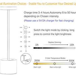 Barryca 12 Inch Cordless Table Lamp Rechargeable, Battery Operated Metal USB Desk Lamp, Portable Led Outdoor Light, Stepless Dimmable, for Outside/Indoor/Restaurant/Home/Dinner/Patio