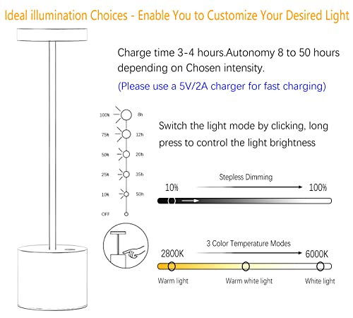 Barryca 12 Inch Cordless Table Lamp Rechargeable, Battery Operated Metal USB Desk Lamp, Portable Led Outdoor Light, Stepless Dimmable, for Outside/Indoor/Restaurant/Home/Dinner/Patio