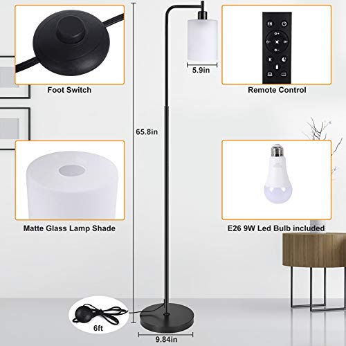 Industrial Floor Lamp,4 Color Tempratures Farmhouse Lamp with Remote & Foot Control, Rustic Standing Lamps with Hanging Jade Matte Glass Shade for Living Room,Bedrooms(9W Led Bulb Included),Black