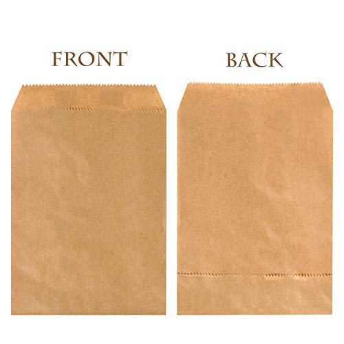 EONJOE 100-pack Kraft Paper treat Bags Flat favor bag for Sandwich Snacks Cookie Popcorn Party Small Gift bag (Brown, 3''x5'')