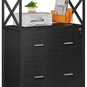 Raybee Filing Cabinet for Home Office Lateral File Cabinet with 2 Wood Drawers, Office Printer Stand with Lock Storage Cabinet for Letter, A4, Legal Size File Folders, 15.8"D x 31.5"W x 40.6"H, Black