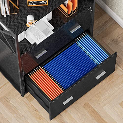 Raybee Filing Cabinet for Home Office Lateral File Cabinet with 2 Wood Drawers, Office Printer Stand with Lock Storage Cabinet for Letter, A4, Legal Size File Folders, 15.8"D x 31.5"W x 40.6"H, Black