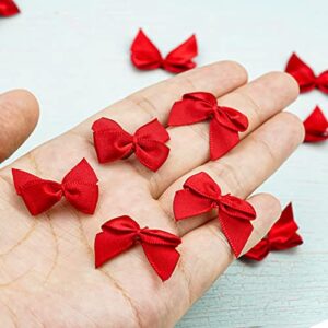 200pcs Mini Satin Ribbon Bows Flowers Red Craft Satin Ribbon Bows 1 Inch Pre-Tied Ribbon Satin Bows Small Christmas Satin Ribbon Bows for DIY Crafts Gift Wedding Party Sewing Scrapbooking(Red)