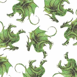 Stesha Party Green Dragon Birthday Wrapping Paper - Folded Flat 30 x 20 Inch (3 Sheets)