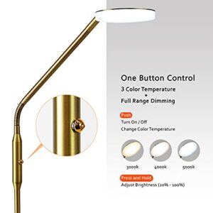 O’Bright Moon - Dimmable LED Floor Lamp, Adjustable Color Temperature for Bedside Reading, Work Light, Art/Crafting Light, Sewing, Ultra Flexible Gooseneck, Rotatable Lighting, Antique Brass (Gold)