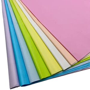 Pastel Rainbow Tissue Paper for Gift Wrapping, Packaging, Floral, Birthday, Christmas, Halloween, DIY Crafts and More 15" X 20" 100 Sheets