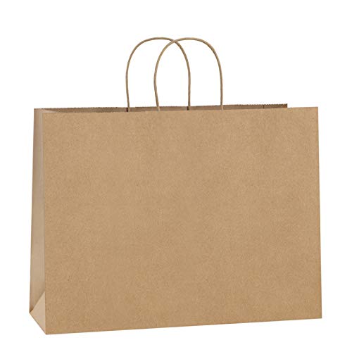 BagDream 100Pcs 16x6x12 Inches Kraft Paper Bags with Handles Bulk Gift Bags Shopping Bags for Grocery, Merchandise, Recycled Large Brown Paper Bags