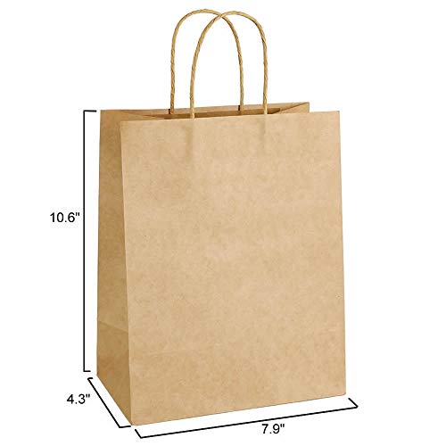 100pcs Kraft Paper Bags 7.9x4.25x10.6" Gift Bag with Handles for Wedding Party Craft Retail Packaging,Recycled Twist handles Brown Shopping Bags (Brown,S-100)