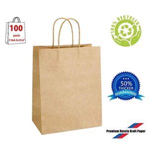 100pcs Kraft Paper Bags 7.9x4.25x10.6" Gift Bag with Handles for Wedding Party Craft Retail Packaging,Recycled Twist handles Brown Shopping Bags (Brown,S-100)