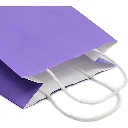 BLUE PANDA Paper Party Gift Bags with Handles (8 x 10 in, Medium Size, Purple, 25-Pack)