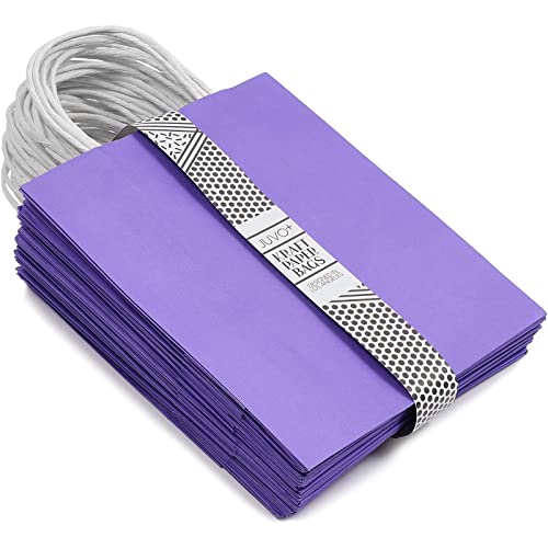 BLUE PANDA Paper Party Gift Bags with Handles (8 x 10 in, Medium Size, Purple, 25-Pack)