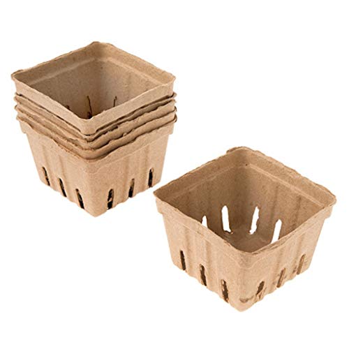 Darice 12 Natural Paper Berry Baskets Baby Shower Wedding 3.5 x 3.5 inches