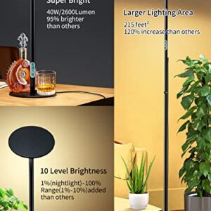 chiphy Floor Lamp, All Metal Standing Lamp, 40W/2600LM Dimmable Grow Light, Eye Protection Natural Sunlight, 69" Heights Adjustable Tall Lamp for Living Room,Bedroom,Reading,Piano,Sofa