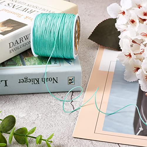 Cheriswelry 100M 0.8mm Nylon Beading Cord Aquamarine Chinese Knotting Rattail Macrame Thread String Roll for Jewelry Making Kumihimo Wrapping Supplies DIY Crafts