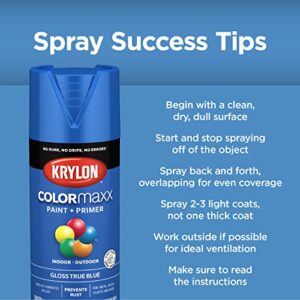 Krylon K05505007 COLORmaxx Spray Paint and Primer for Indoor/Outdoor Use, Gloss Black 12 Ounce (Pack of 1)