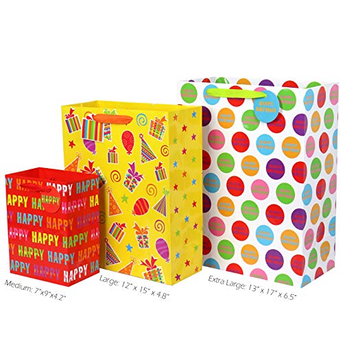 12 Pcs Birthday Gift Bags, Large, Medium and Small Gift Bags Assortment for Boys, Girls, Women, Men (Assorted Sizes)