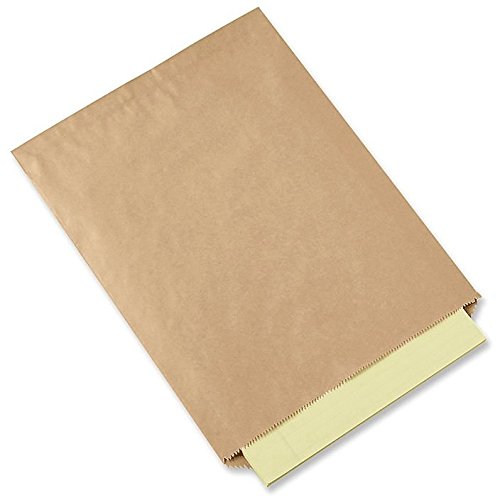 10"x13" - 100 Count - Flat Brown Kraft Paper Bags by Flexicore Packaging®, Shopping, Mechandise, Party, Gift Bags