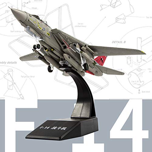 Lose Fun Park Diecast 1：100 F-14 Tomcat Fighter Attack Airplanes Military Display Model Aircraft for Collection or Gift