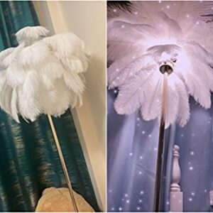 GIOAMH Natural Ostrich Feather Floor Lamp, Simple Modern Bedroom and Living Room Standing Lamp, Golden Lamp Body, G4-LED Bulb (White)