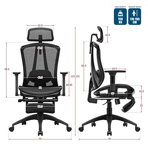 HOMESTOOL Office Chair Ergonomic Desk Chair with 2-axis Adjustable Lumbar Support, Carbon Fabric Mesh Chair PC Computer Chair High Back Office Chair with Waterfall Seat 330lbs Capacity Black