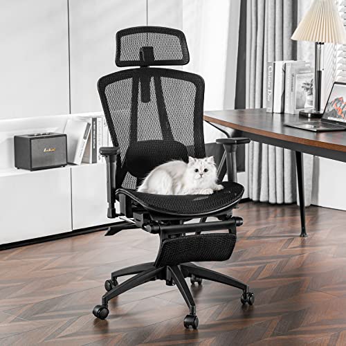 HOMESTOOL Office Chair Ergonomic Desk Chair with 2-axis Adjustable Lumbar Support, Carbon Fabric Mesh Chair PC Computer Chair High Back Office Chair with Waterfall Seat 330lbs Capacity Black