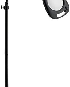 Daylight Naturalight LED Floor Lamp, 5-Inch